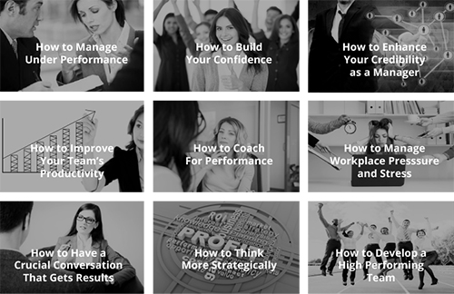 What is The Manager's Toolkit? - The Manager's Toolkit